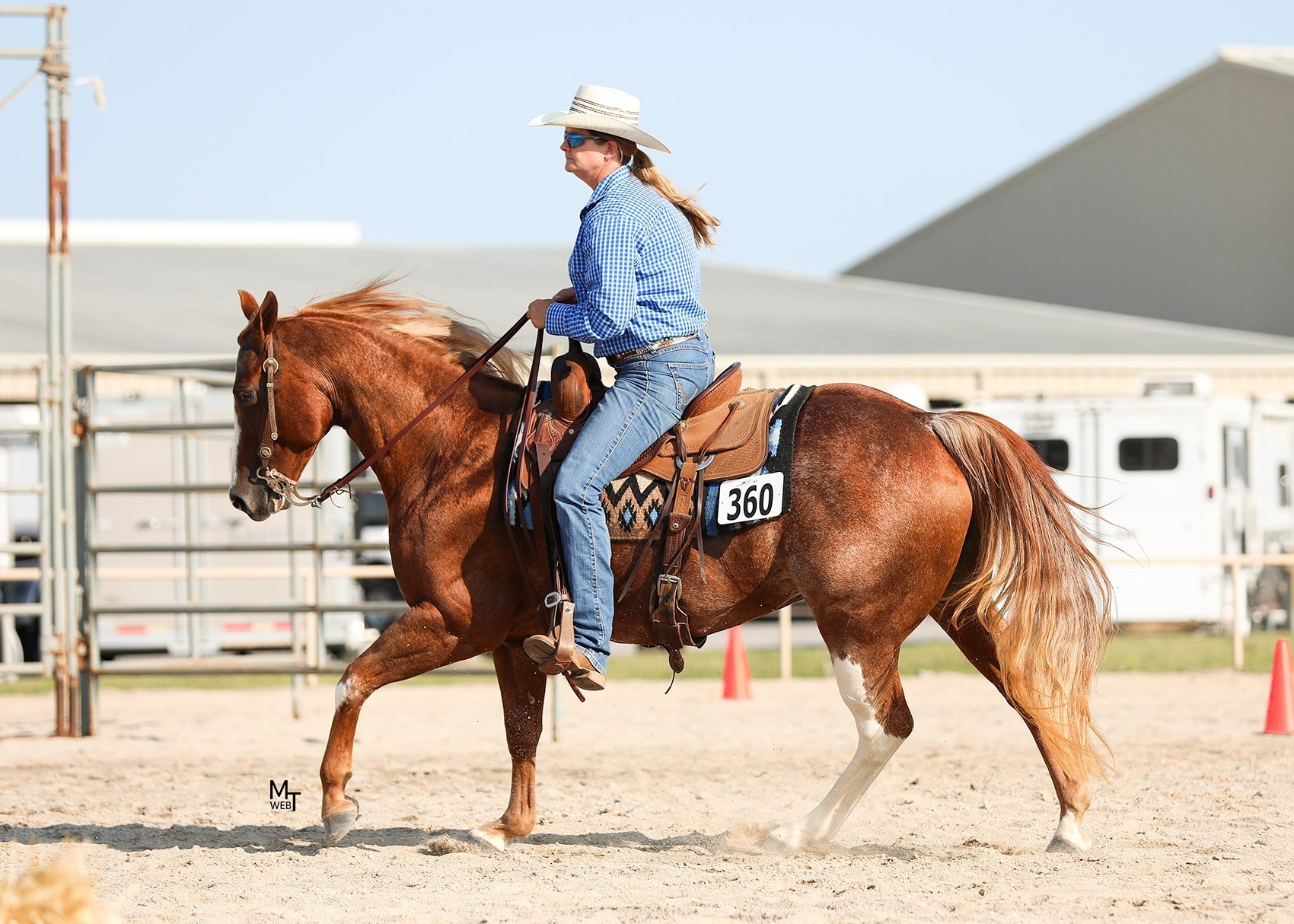Our Ranch Horses | Our personal riding horses